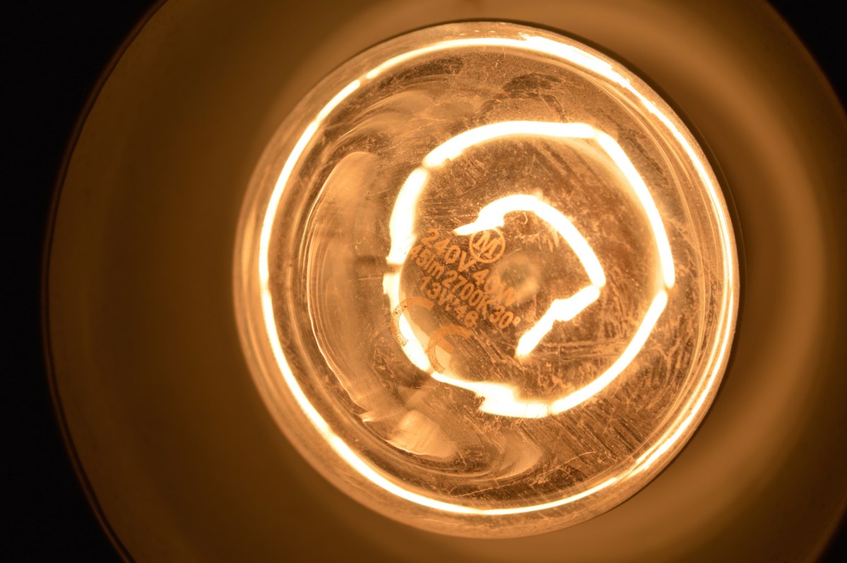 A Vibrant Realism – The Nexus